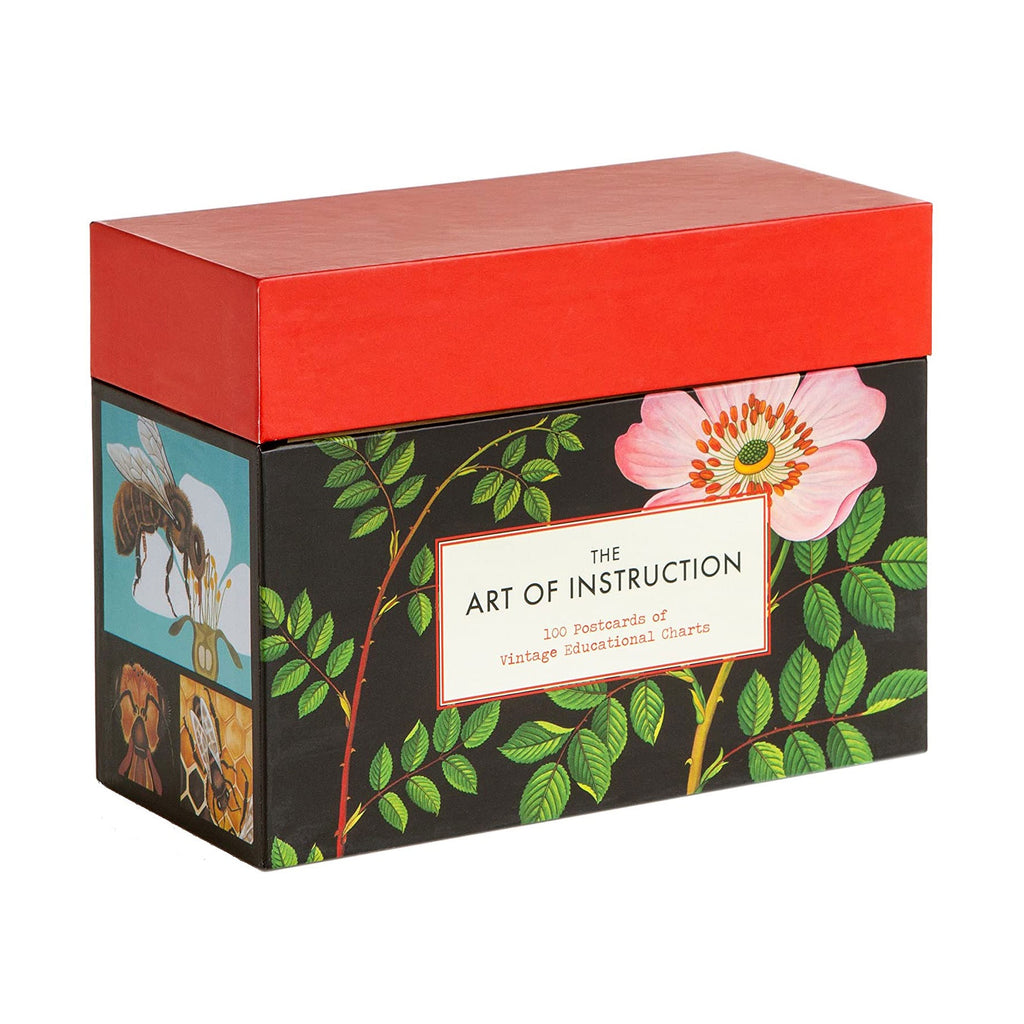 Postcard Sets – The Paper Place