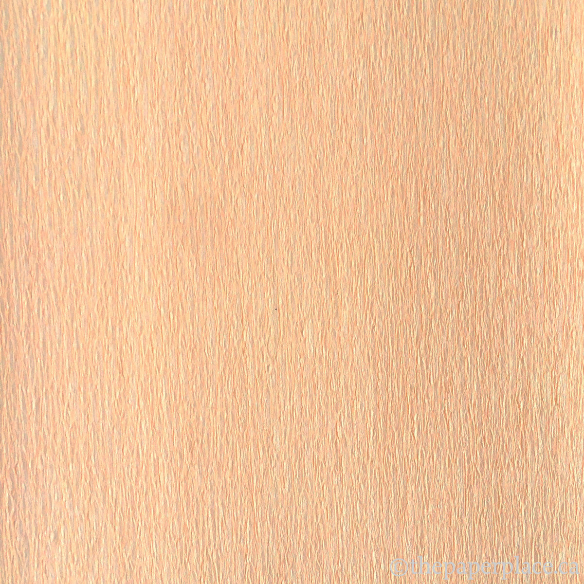 Crepe Paper – The Paper Place