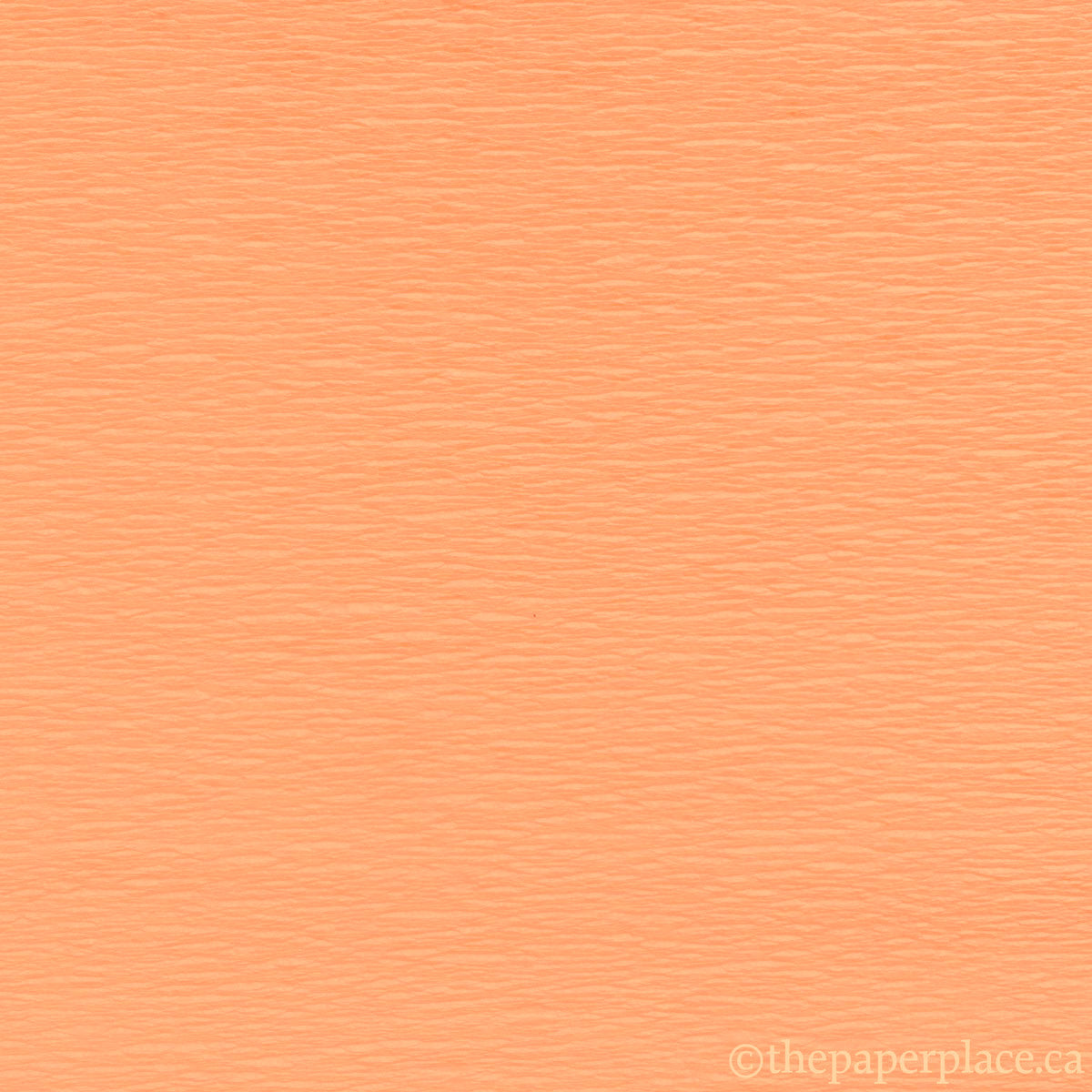 Crepe Paper – The Paper Place
